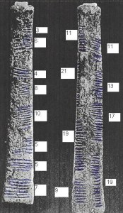 The Ishango Bone: Craddle of Ancient Mathematics – African Heritage