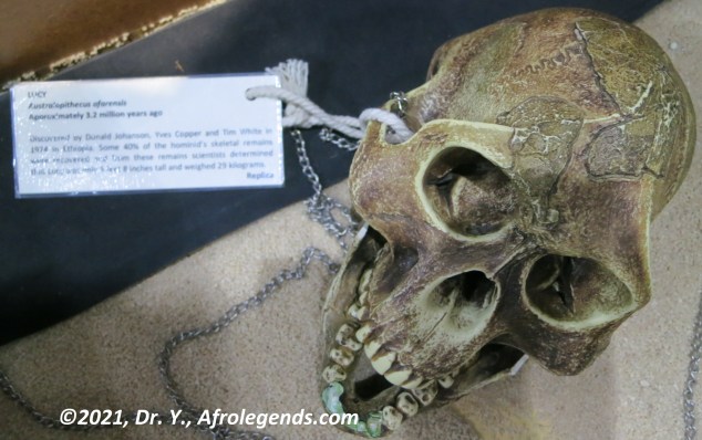 Lucy: the Oldest Ancestor to Mankind? – African Heritage