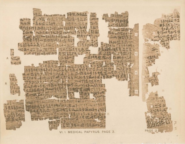 African Ancient Medicine: The Kahun Gynecological Papyrus – African ...