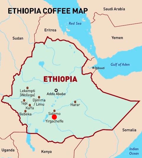 The Need for Countries to Protect What is Theirs : How a Dutch Patented ...