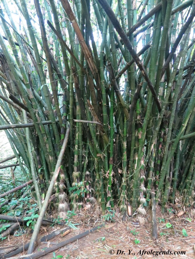 African Heritage – A blog about African history, and heritage, through ...